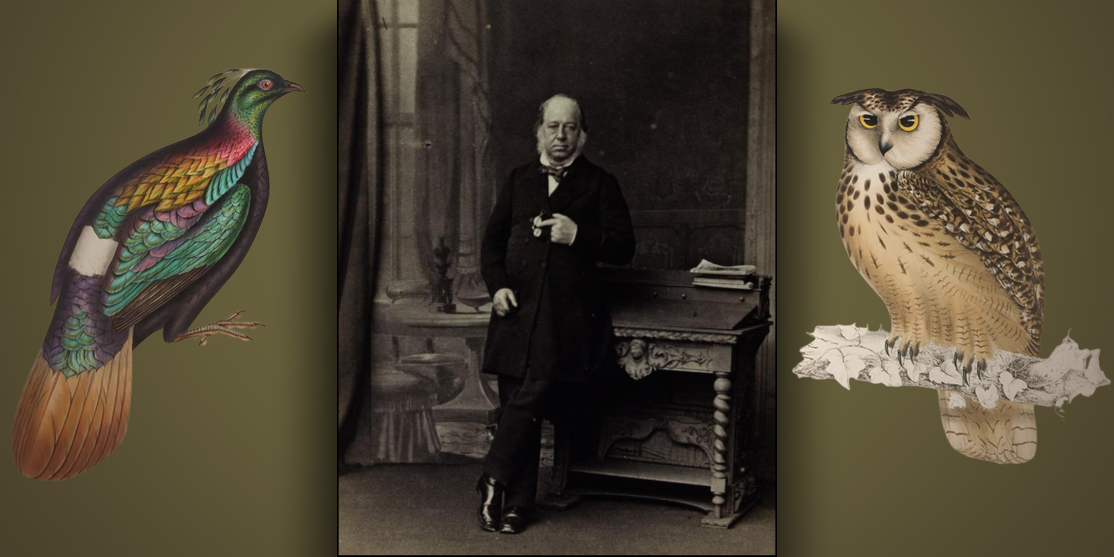 John Gould’s First Bird Book: A Century of Birds from the Himalaya Mou ...