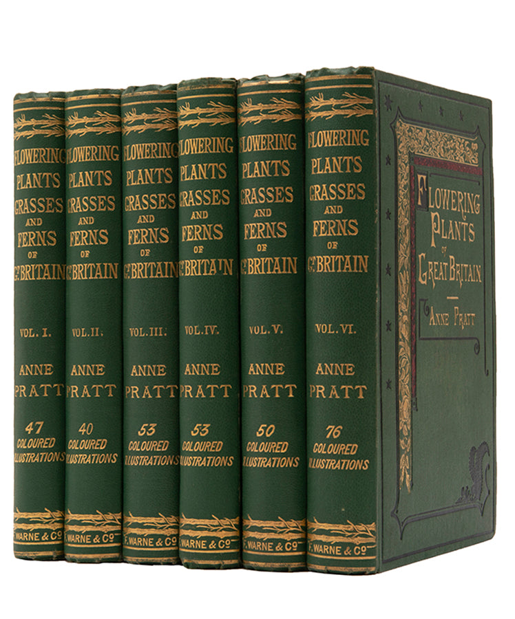 Anne Pratt, Flowering plants Great Britain, 1873 – Shapero Rare Books